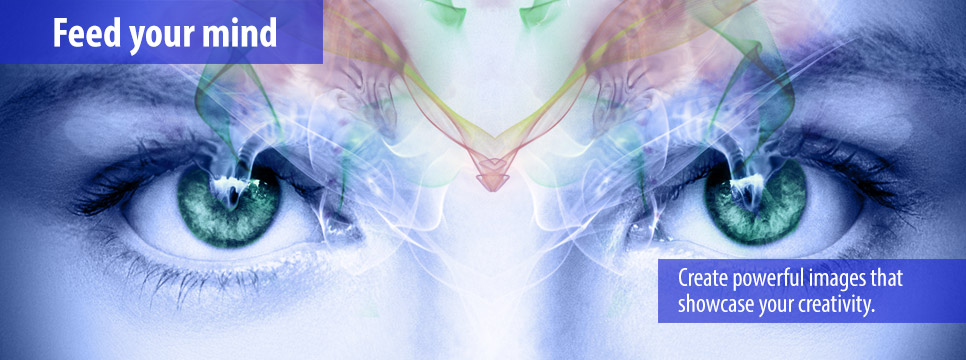 Feed your mind | Mettle