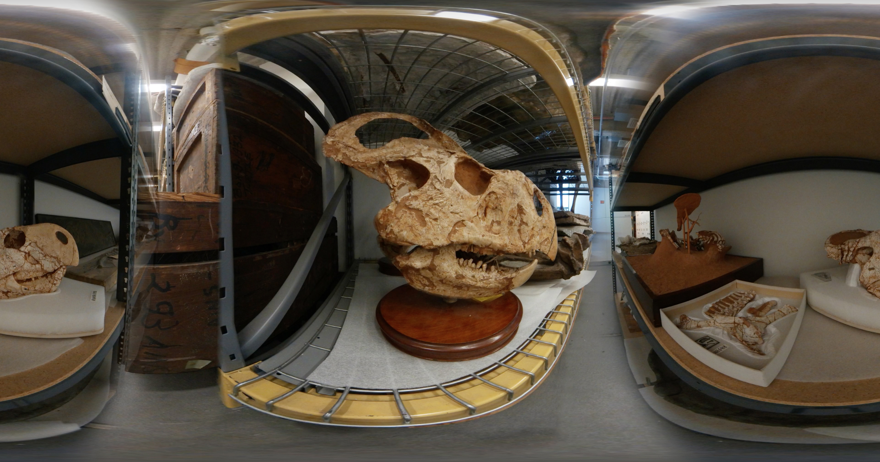 Fossil Hunting In the Gobi 360 | American Museum of Natural History ...