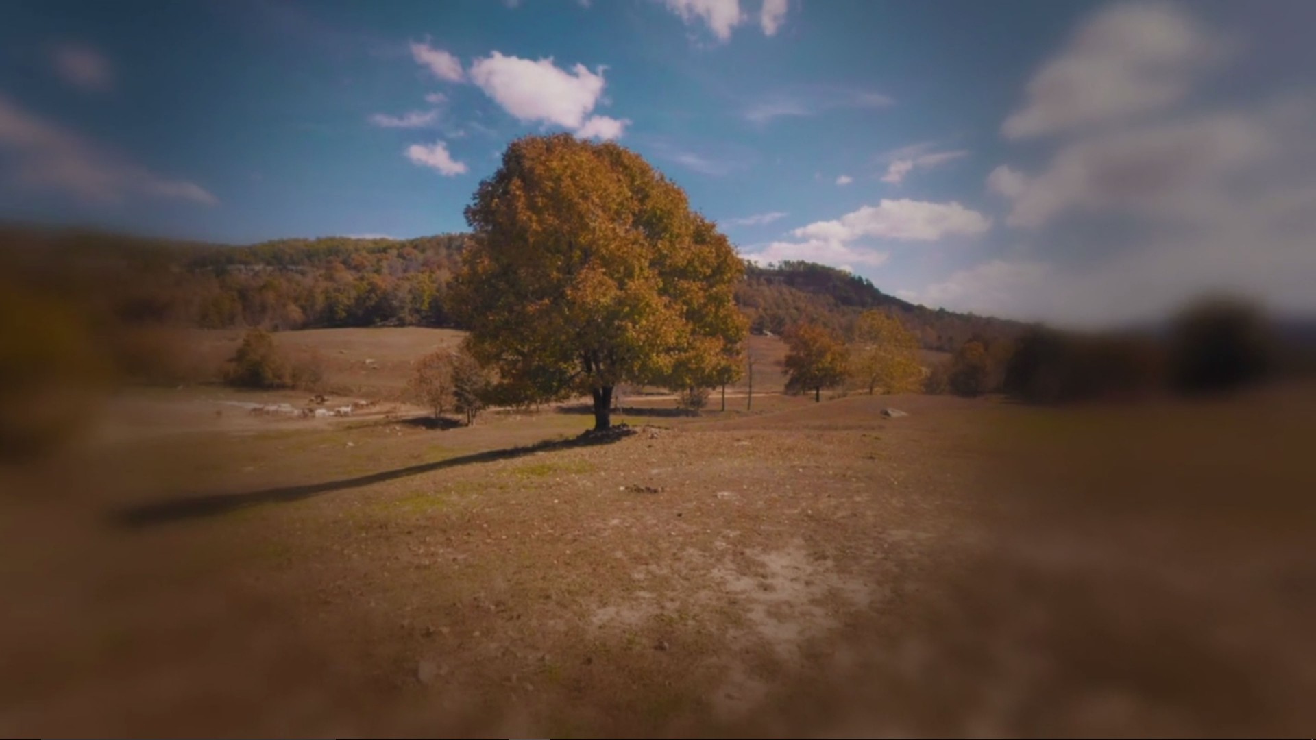 How to Add Effects in 360 Video | SkyBox Studio | Mettle